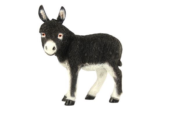 bp baby ezel - Tuincentrum Pelckmans