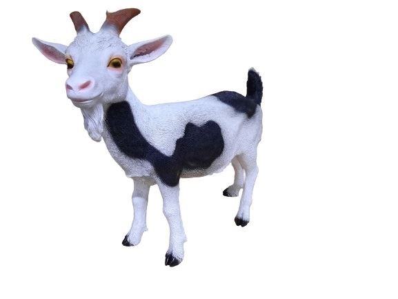 bp geit met sik zwart/wit - Tuincentrum Pelckmans