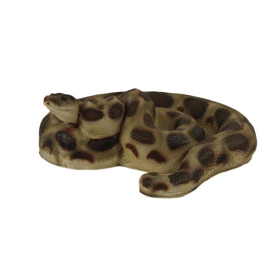 bp slang python - Tuincentrum Pelckmans