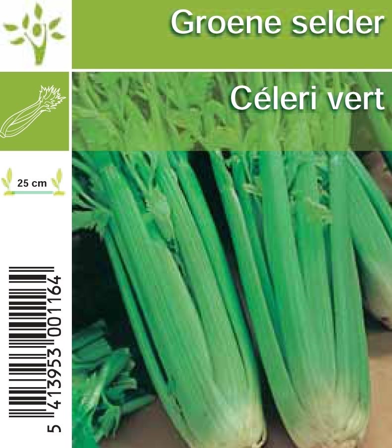 groene selder in setje (6sts) - Tuincentrum Pelckmans