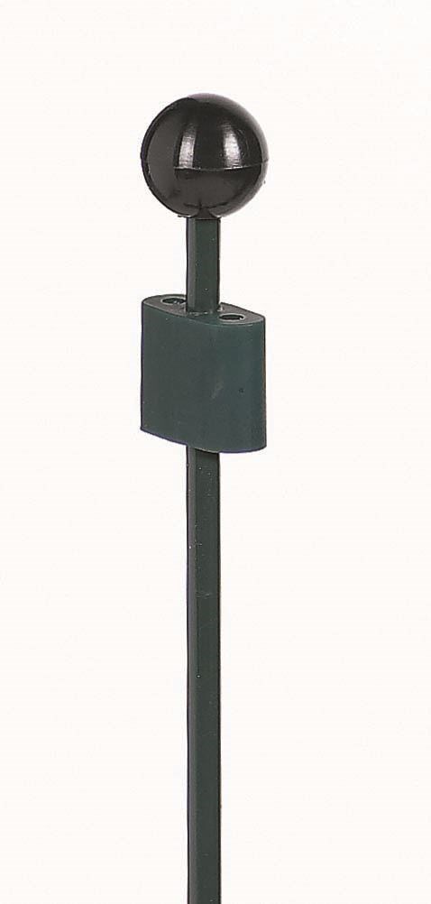 peacock mini grondpin - Tuincentrum Pelckmans