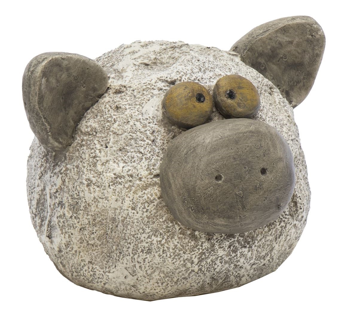 rockstar pig - Tuincentrum Pelckmans