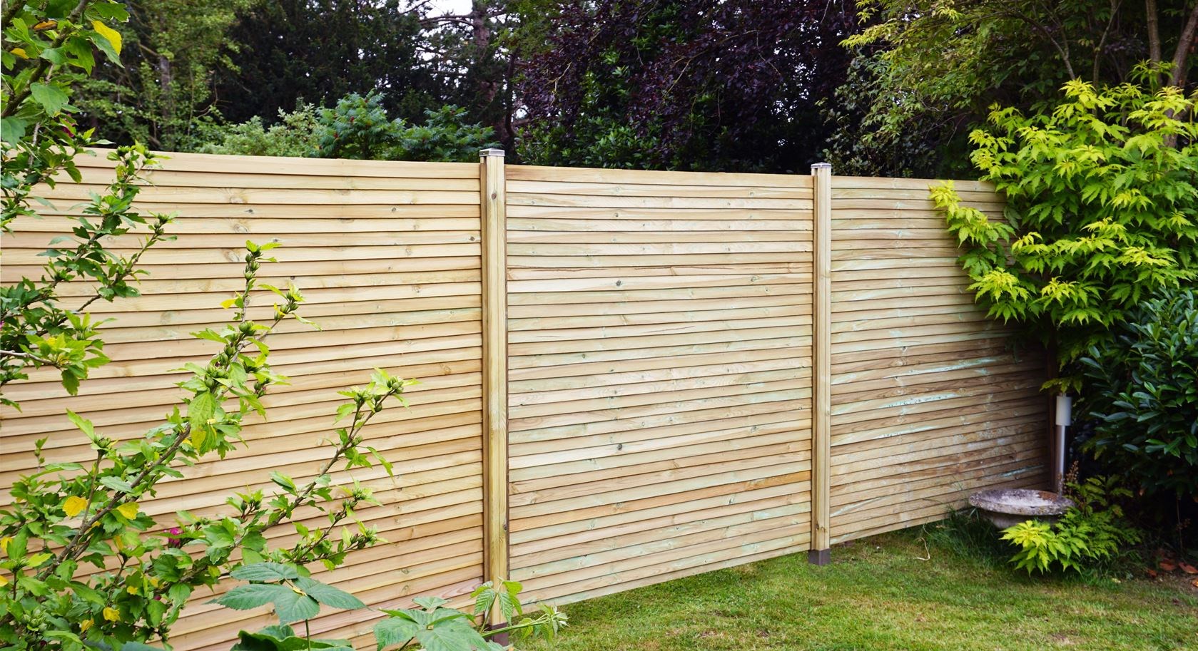 tuinscherm galia - Tuincentrum Pelckmans